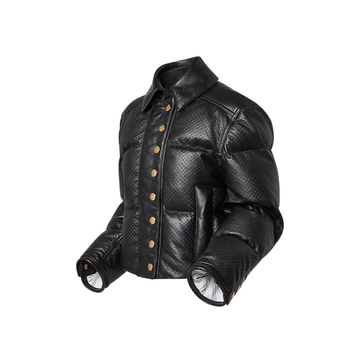 Monogram Leather Padded Boxy Jacket - Women - Ready-to-Wear | LOUIS ...