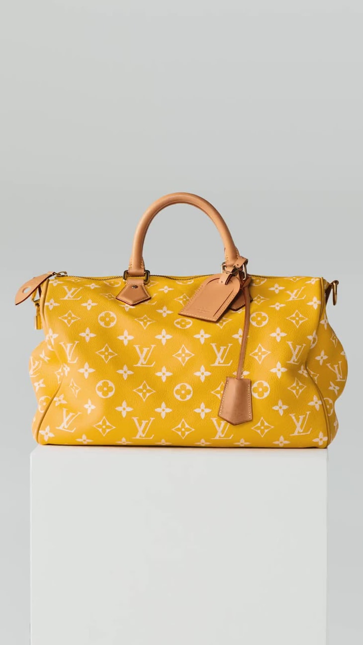 The Speedy P9 | LOUIS VUITTON